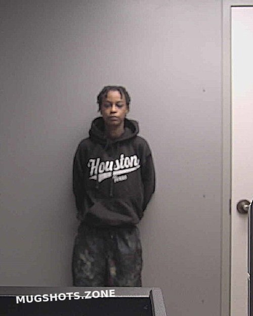 SINGER CHELSA 06/07/2025 - Harris County Mugshots Zone