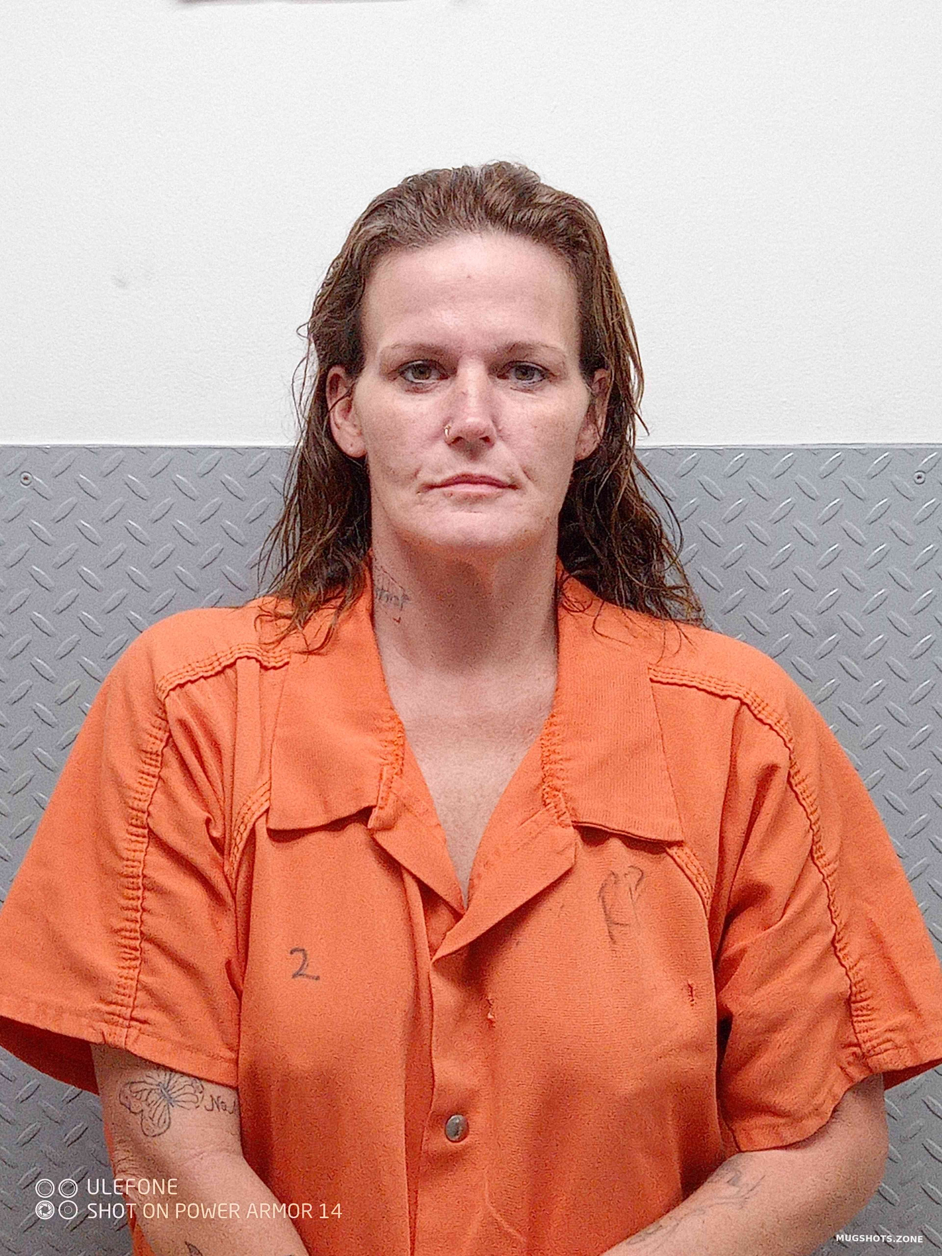 SEVIOUR TIFFANY 10/04/2024 - Hart County Mugshots Zone
