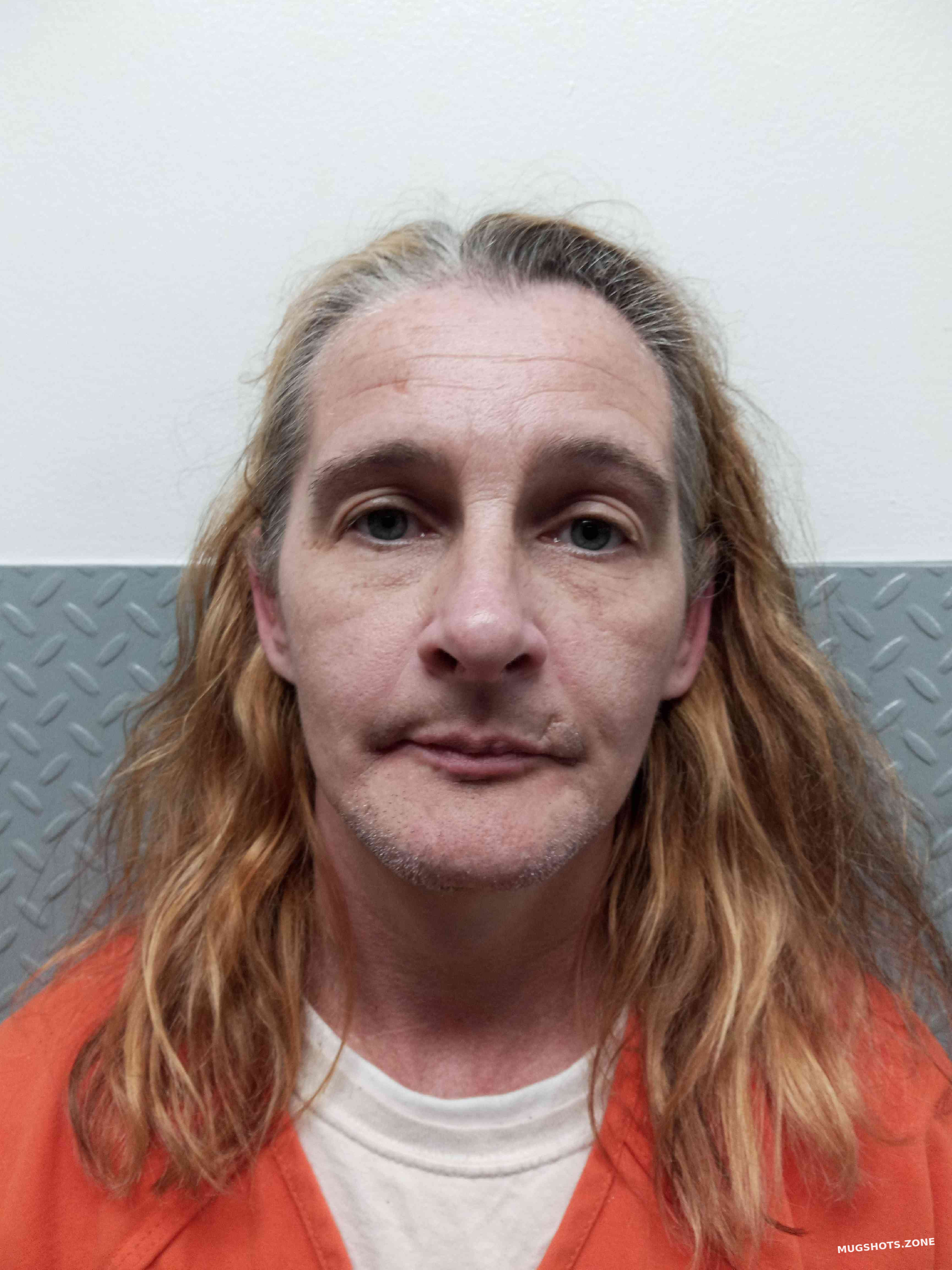 SHORT SHANNA 10/31/2024 - Hart County Mugshots Zone