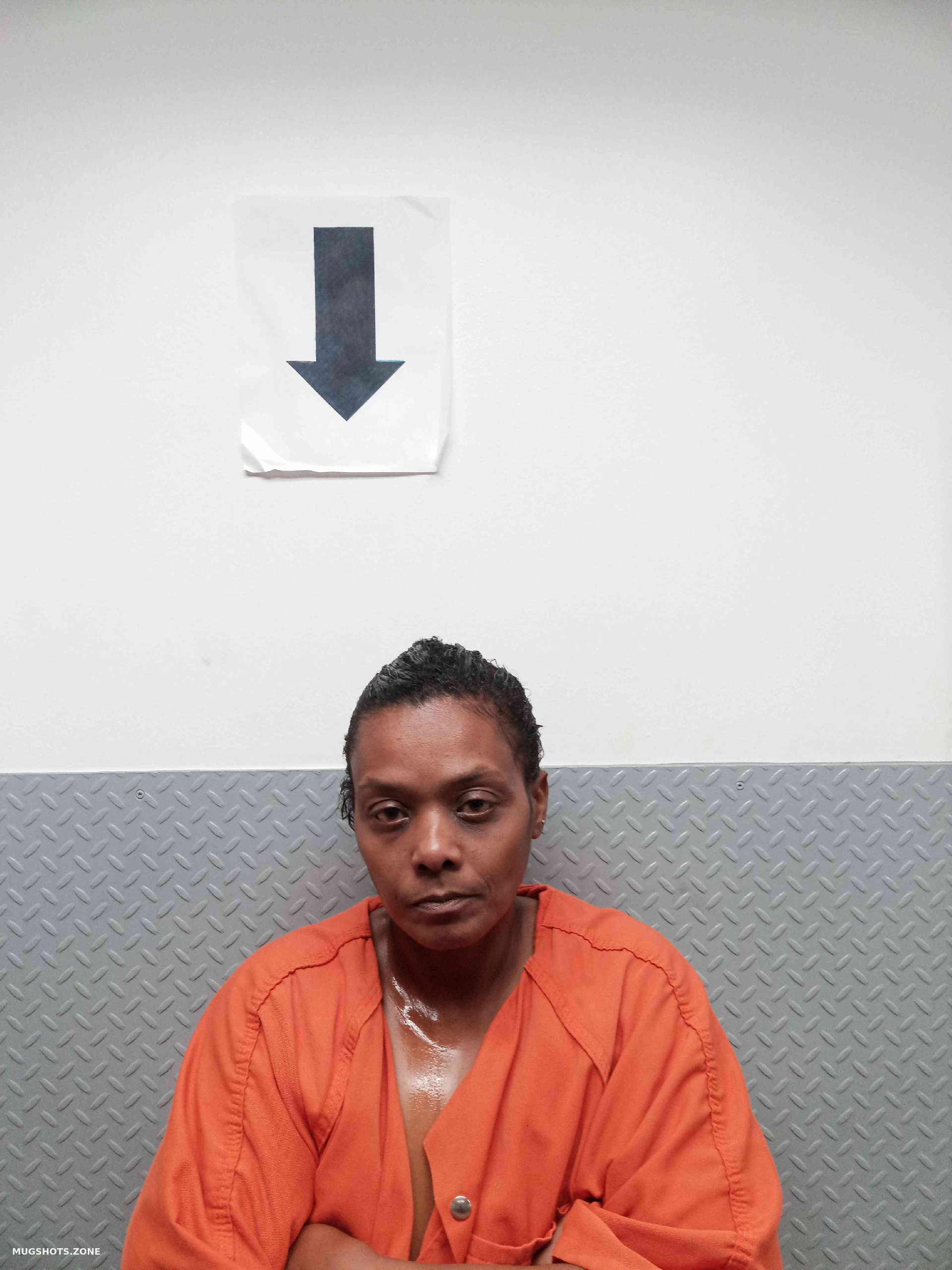 MARTIN STEPHANIE 11/14/2024 - Hart County Mugshots Zone