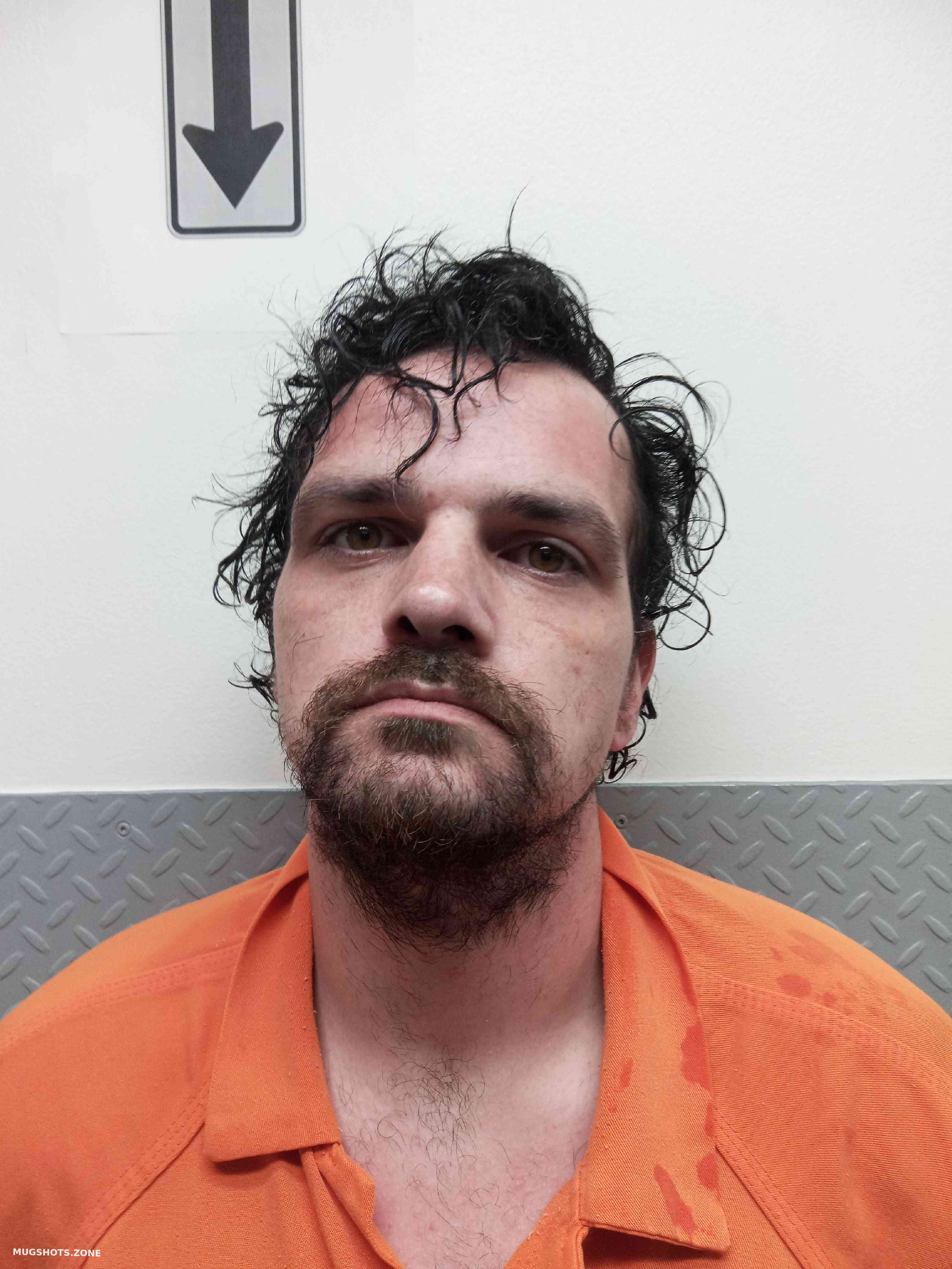 LOONEY MATTHEW 01/04/2025 - Hart County Mugshots Zone