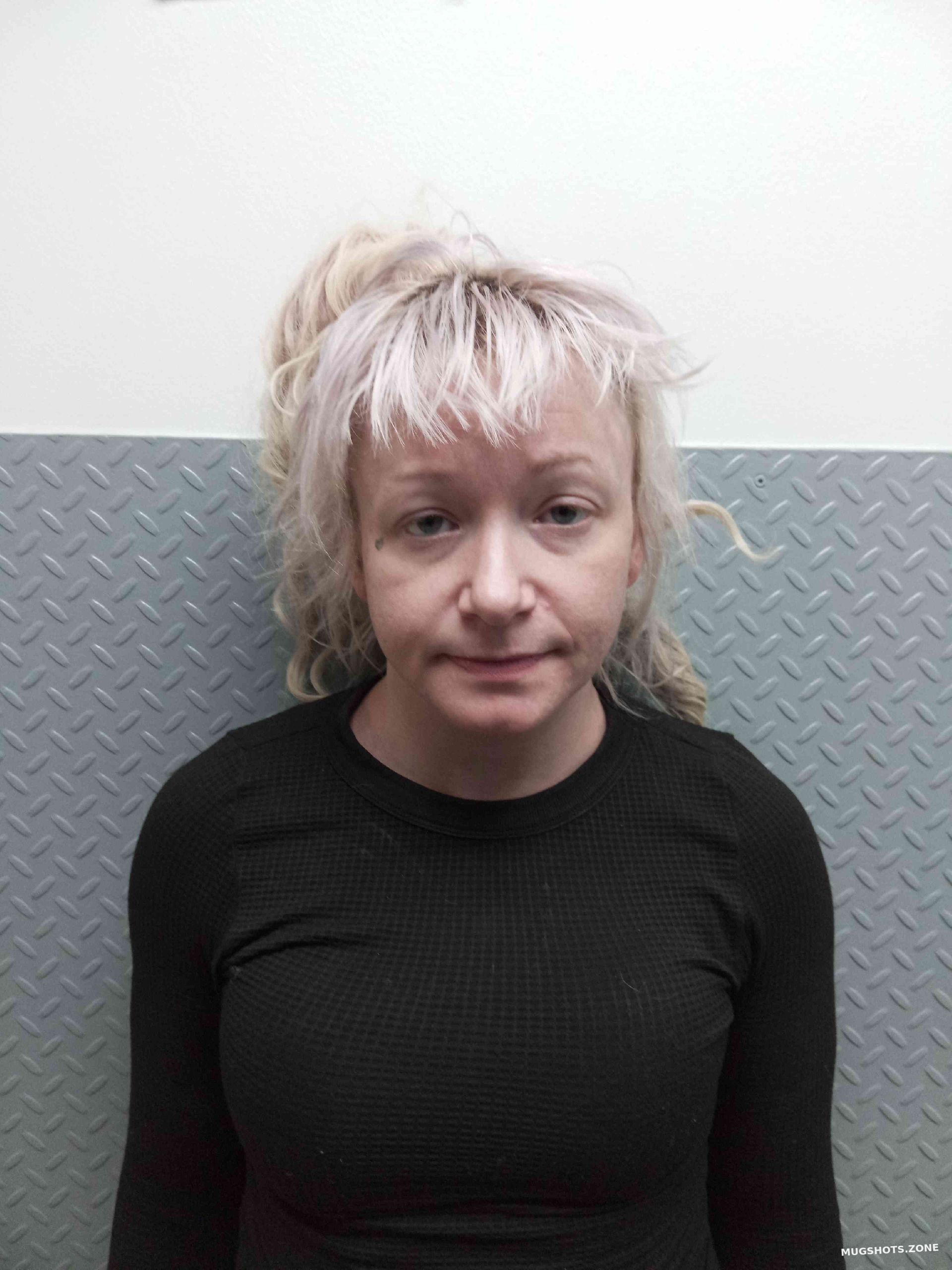 WILKINS DAWN 02/19/2025 - Hart County Mugshots Zone