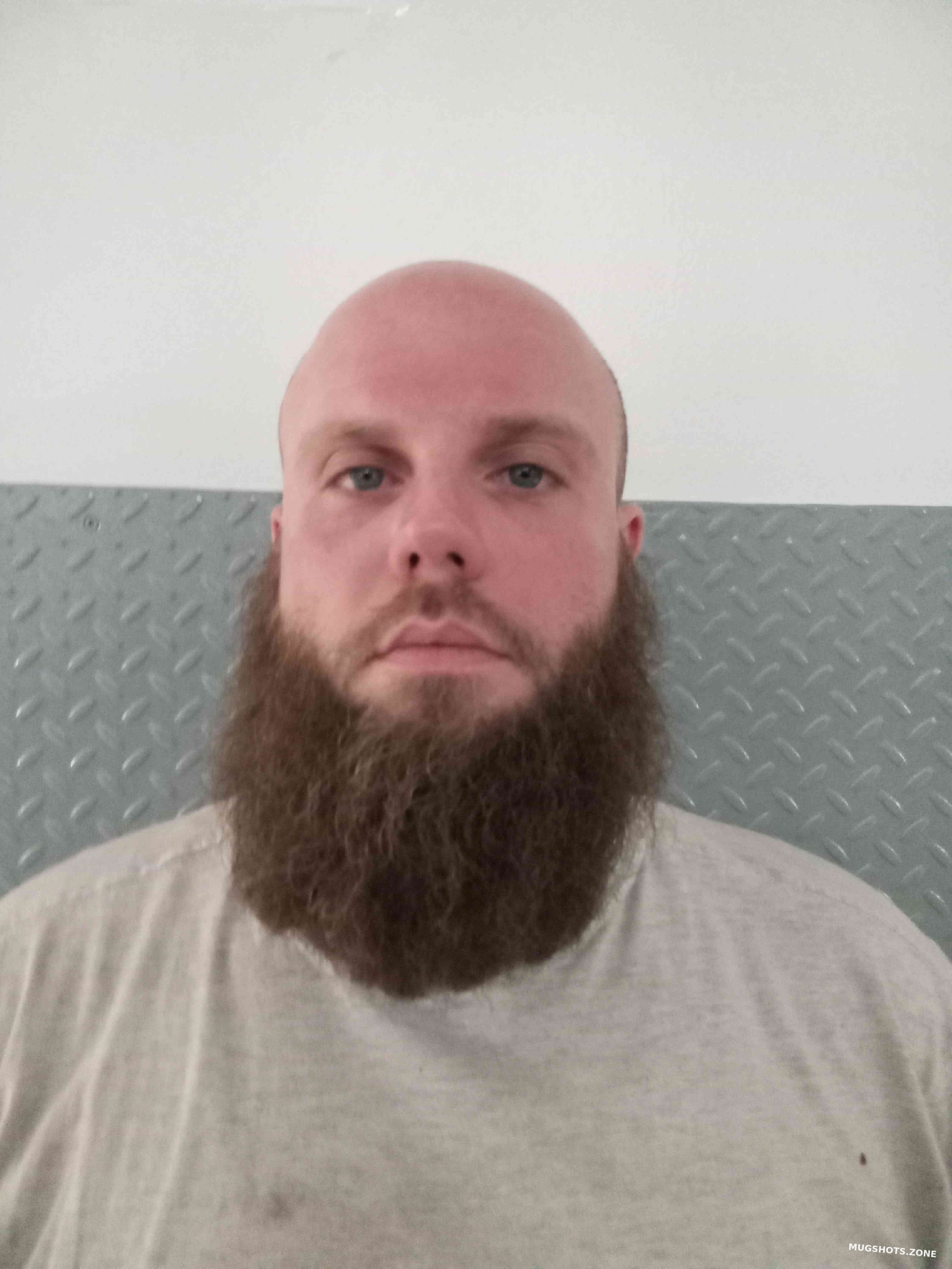 BROWN CHRISTOPHER 03/12/2025 - Hart County Mugshots Zone