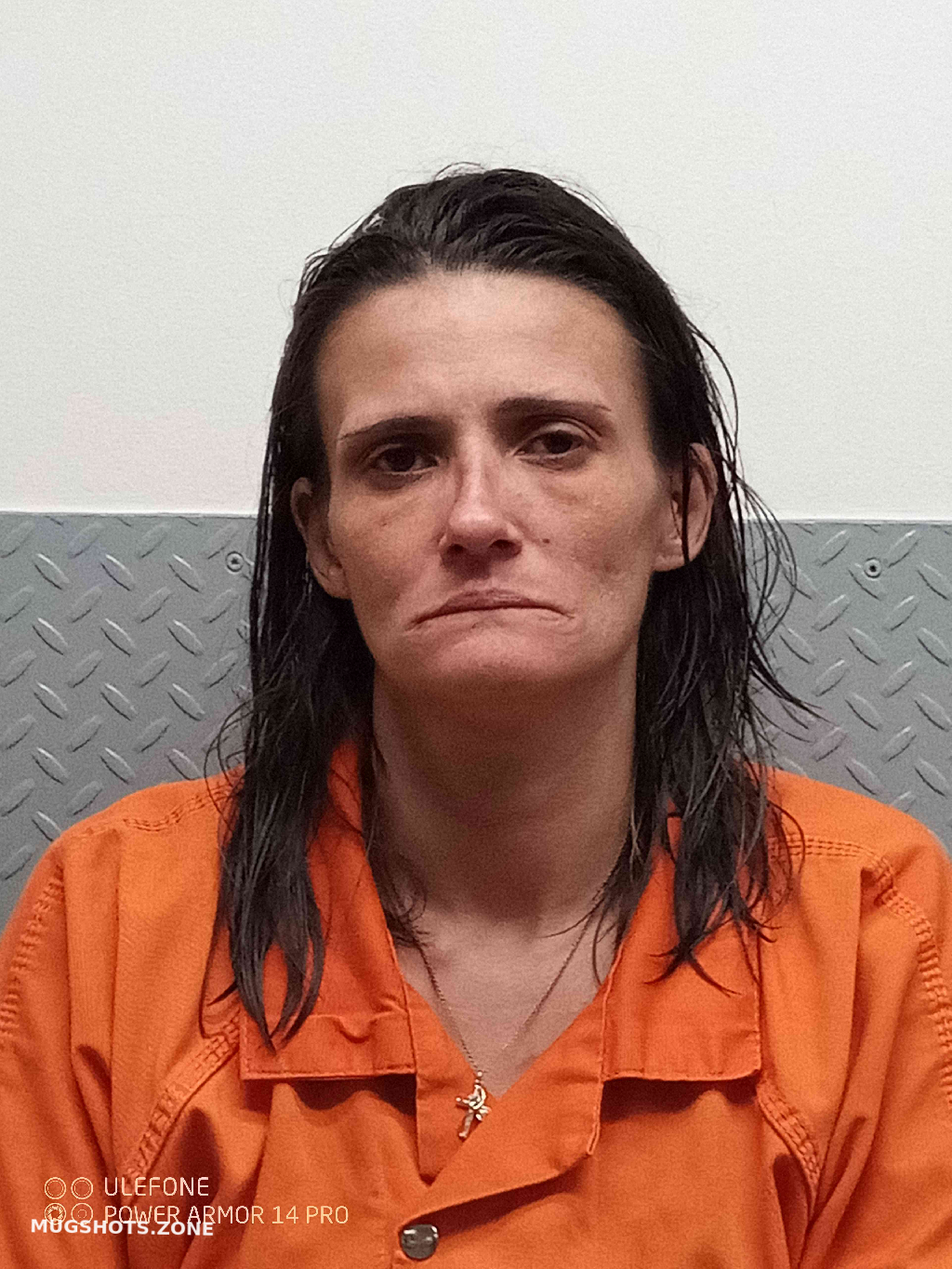 DUNN JENNA 06/04/2025 - Hart County Mugshots Zone