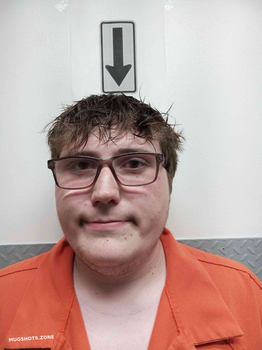 MERCER CODY 06/11/2025 - Hart County Mugshots Zone