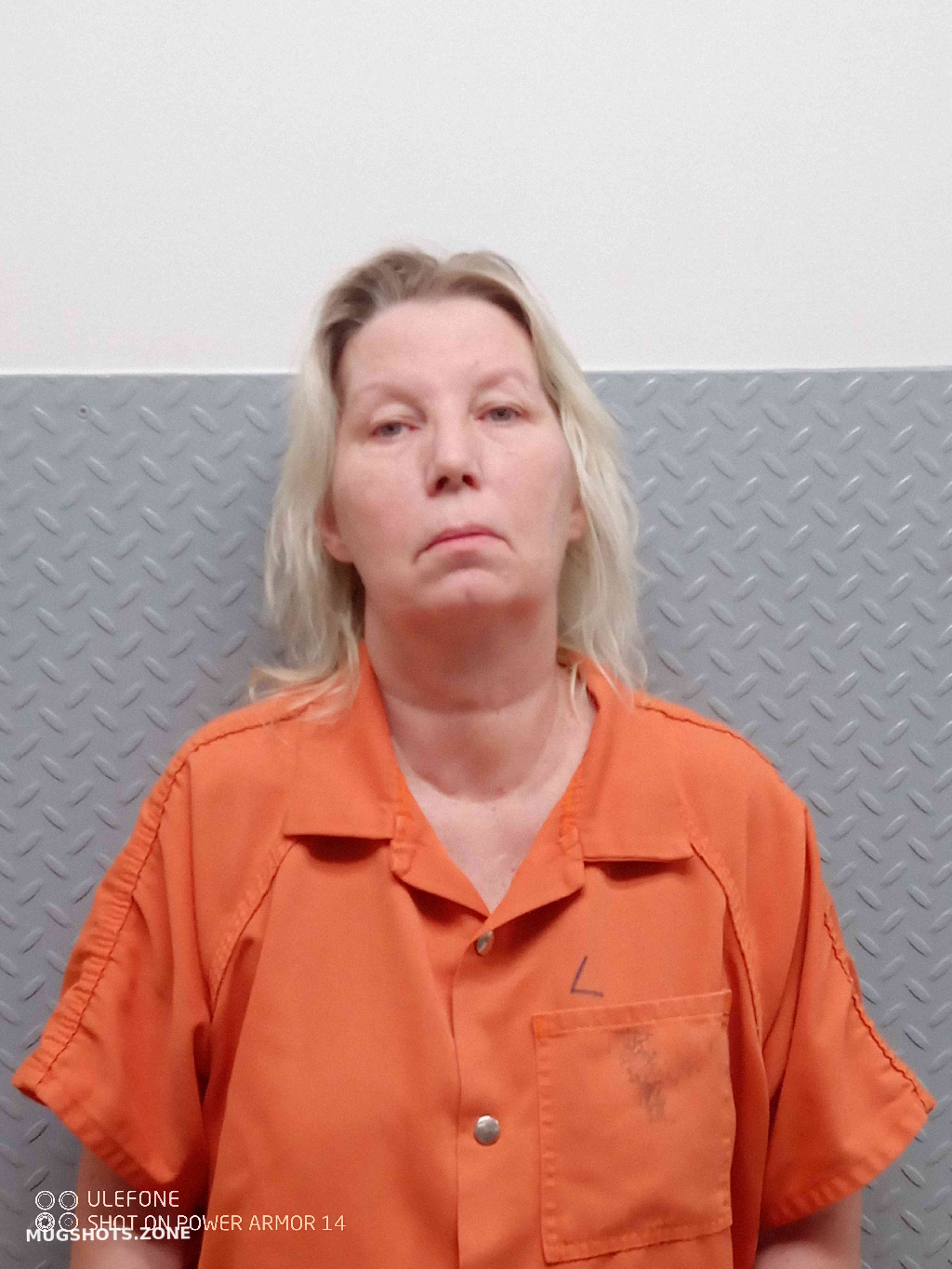 BEDWELL DEBORAH 06/23/2025 - Hart County Mugshots Zone