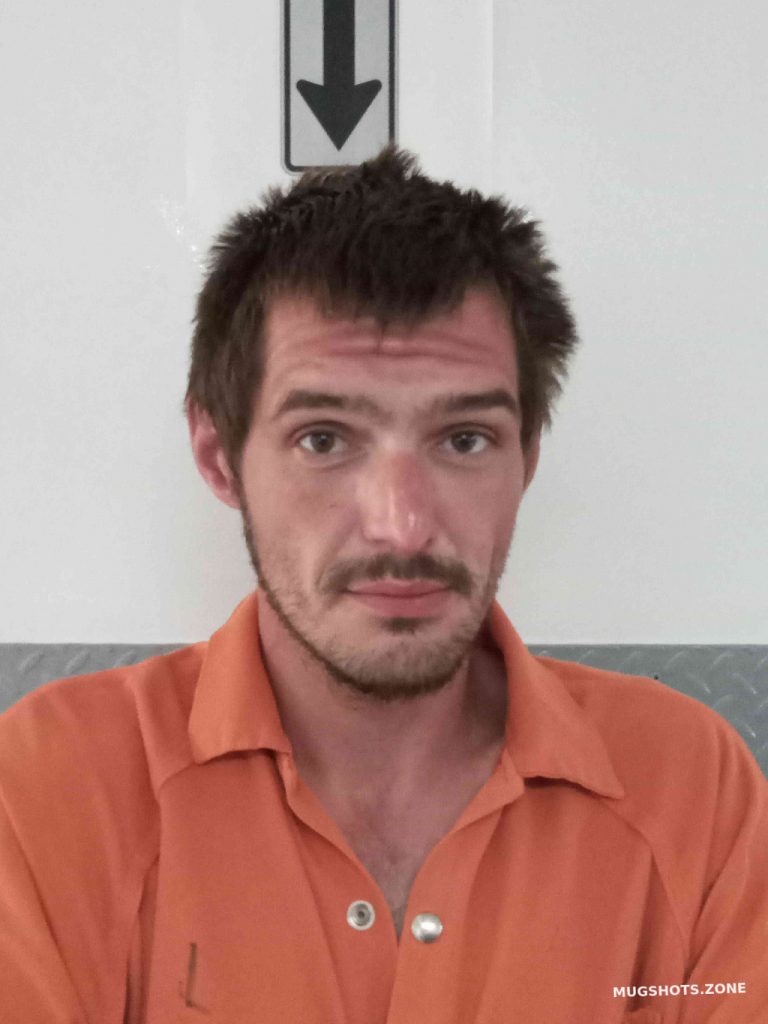 RIGDON RYAN 06/29/2025 - Hart County Mugshots Zone