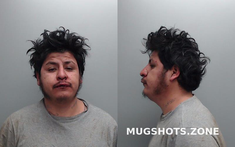 RAMIREZ LARRALDE ARMANDO JR. 01/01/2021 - Hays County Mugshots Zone