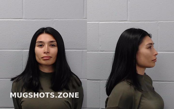 SOLIS ANNA LAURA 01/20/2021 - Hays County Mugshots Zone