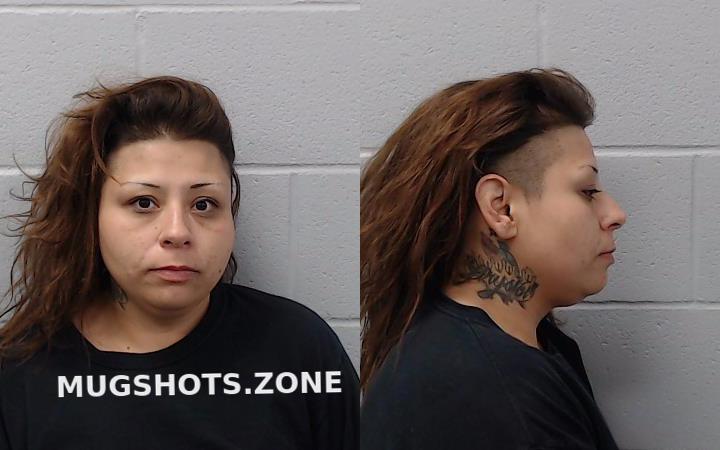 MORENO JANINE EURESTI 02/04/2021 - Hays County Mugshots Zone