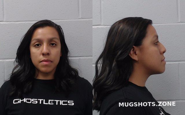 MEDRANO ANNA MARIA 08/20/2021 - Hays County Mugshots Zone