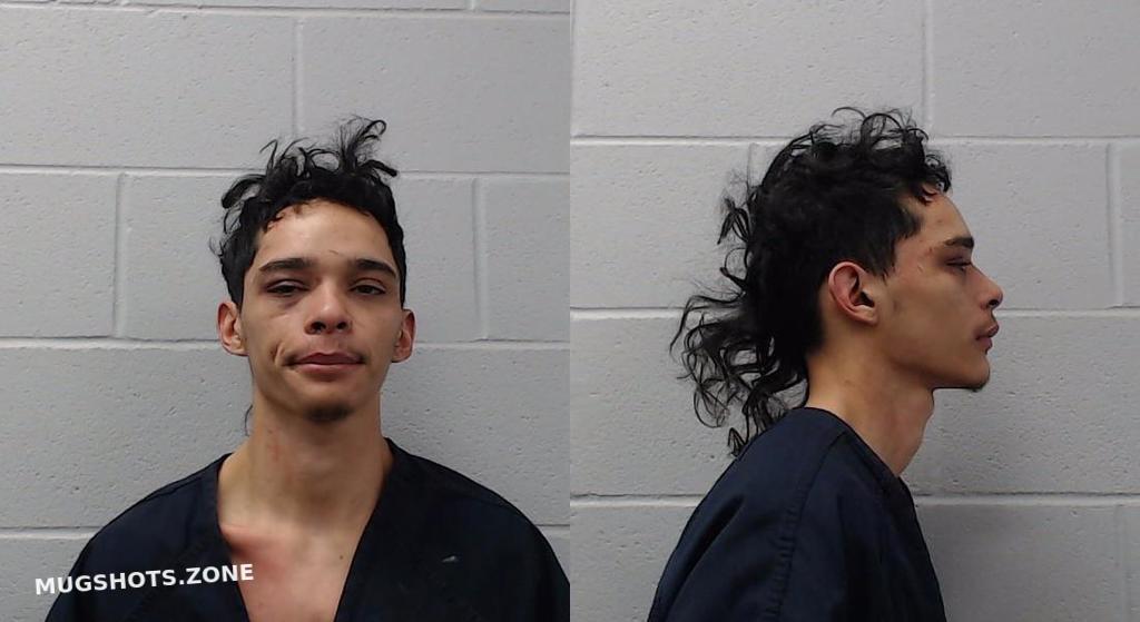 CESENA JACOB ANTHONY 01/30/2022 - Hays County Mugshots Zone