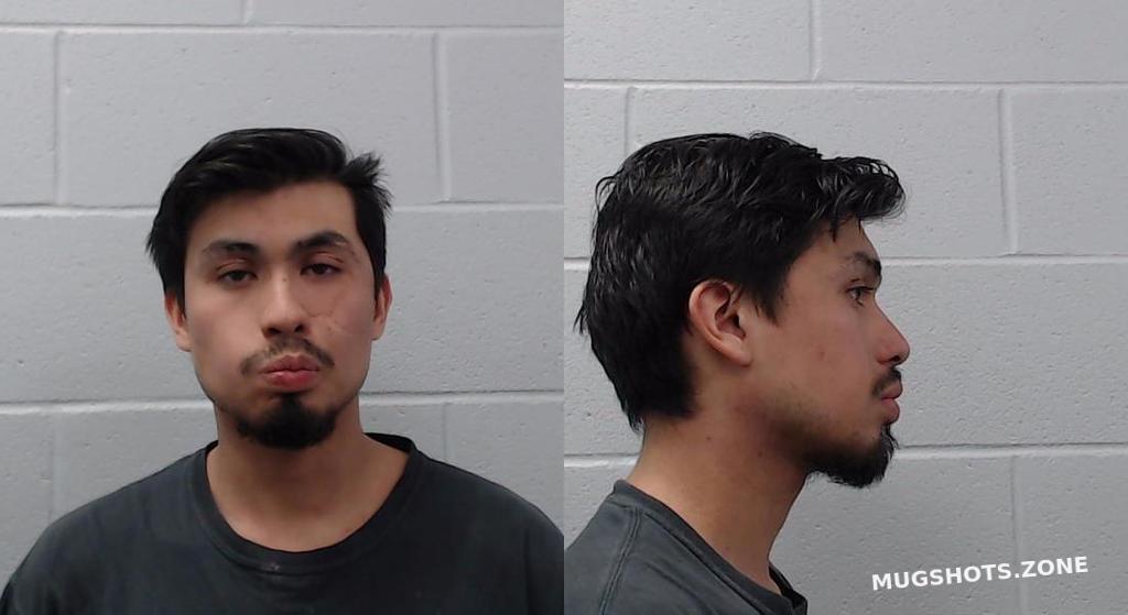 GREENMAN DOMINIQUE MANUEL 04/04/2022 - Hays County Mugshots Zone