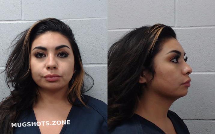 RIZK SABRINA NICOLE 06/19/2022 - Hays County Mugshots Zone