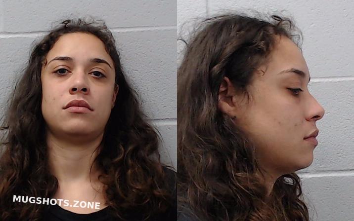 WILLIAMS JESSICA RENE 08/22/2022 - Hays County Mugshots Zone