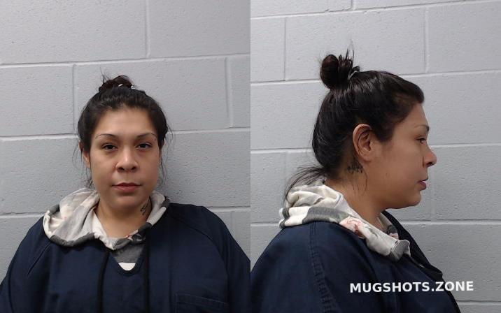 CASTRO JENNIFER LEE 10/14/2022 - Hays County Mugshots Zone