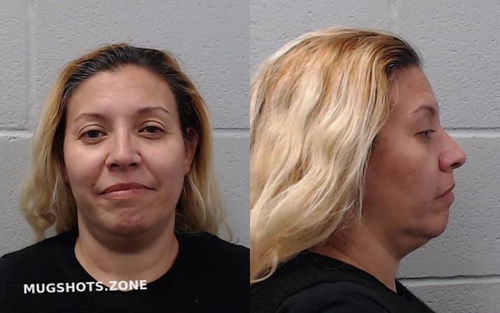 WADE MONICA TERESA 10/21/2022 - Hays County Mugshots Zone