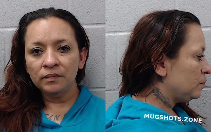 ROMO RUBY ANN 11/06/2022 - Hays County Mugshots Zone