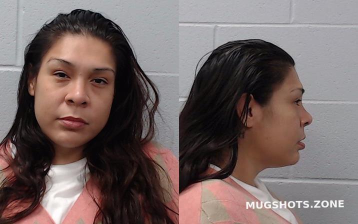 CASTRO JENNIFER LEE 11/10/2022 - Hays County Mugshots Zone