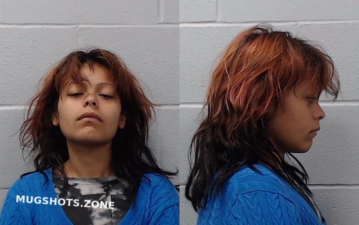 RAMIREZ ASHLEY ANAHI 11/11/2022 - Hays County Mugshots Zone