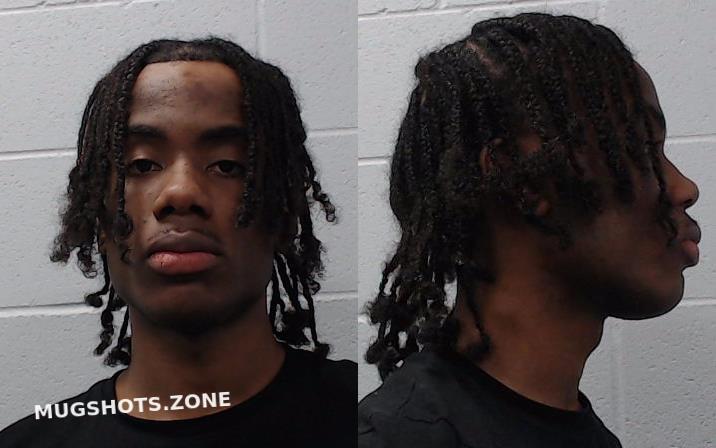 RAMSEY MILES ELLISON 11/23/2022 - Hays County Mugshots Zone