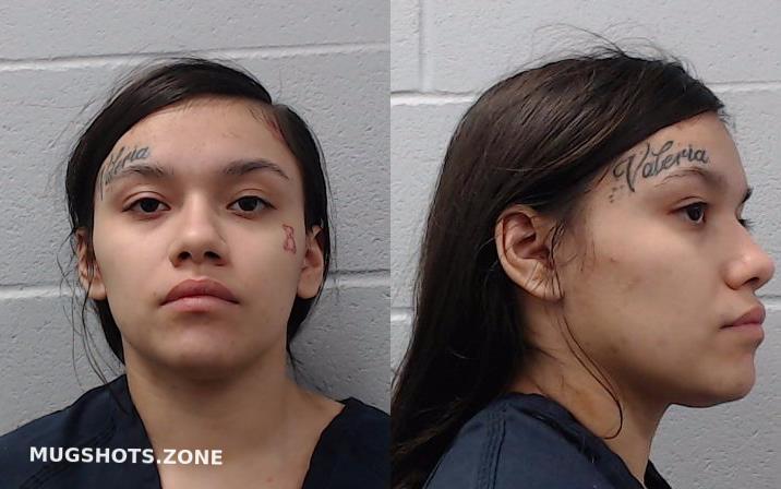 ROTH PENELOPE ANN 12/20/2022 - Hays County Mugshots Zone