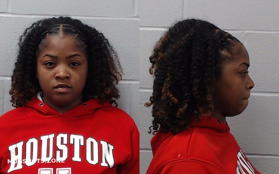 ALLEN JAYDA CELENE 03/17/2023 - Hays County Mugshots Zone