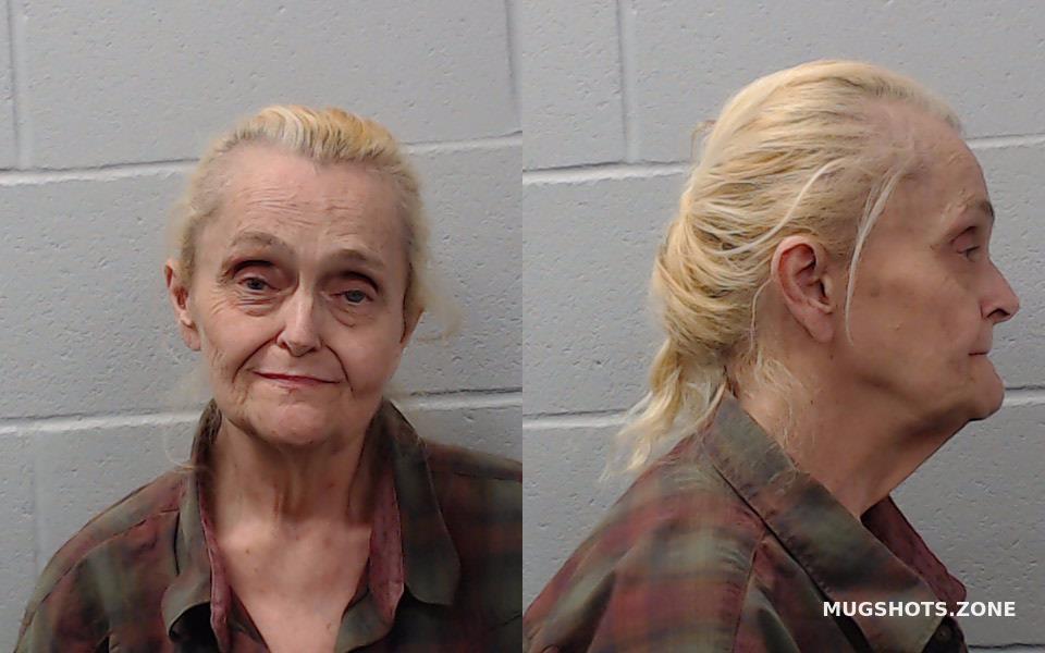 NICHOLSON LESLEY ANN 04/06/2023 - Hays County Mugshots Zone