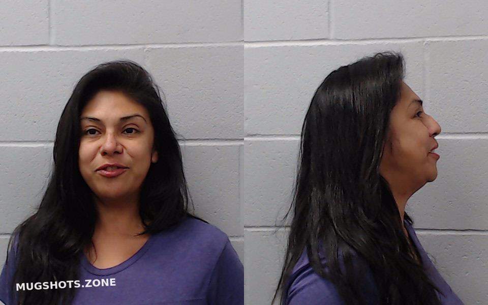 Castro Amy Hernandez 07 20 2023 Hays County Mugshots Zone