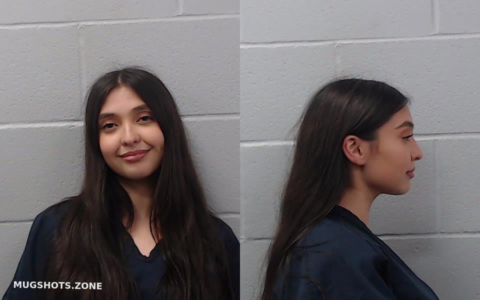 BURGIN JAMIE REBECCA 10/27/2023 - Hays County Mugshots Zone