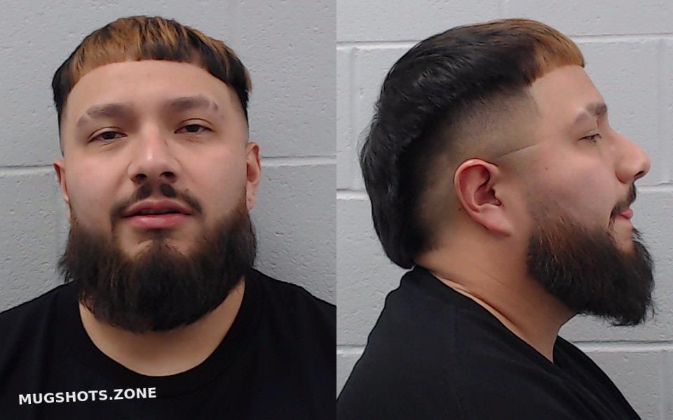 CASTILLO DANIEL FRANCISCO 01/03/2024 - Hays County Mugshots Zone
