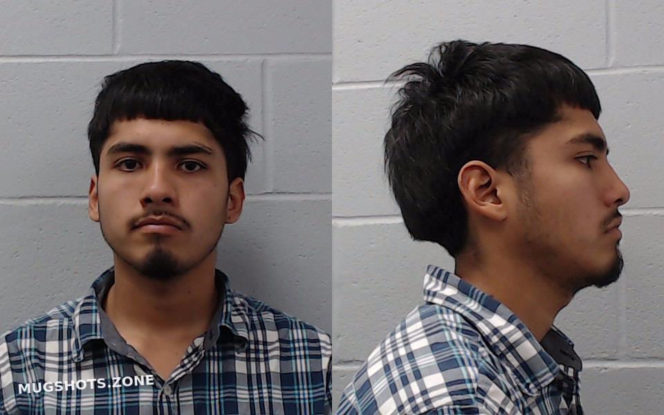 AVILA-SOLIS CRISTIAN 02/22/2024 - Hays County Mugshots Zone