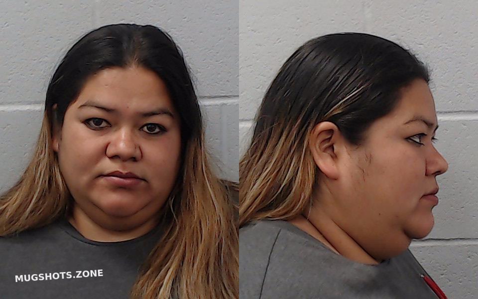 MEJIA ESTEVEZ BRENDA LIZETH 04/01/2024 - Hays County Mugshots Zone