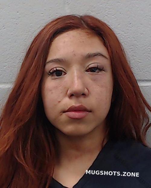 Cervantes Vanessa 04 06 2024 Hays County Mugshots Zone