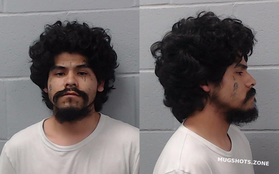 CASTILLO DAVID 05/21/2024 - Hays County Mugshots Zone