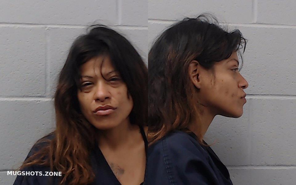 CASTILLO TRACY 05/28/2024 - Hays County Mugshots Zone