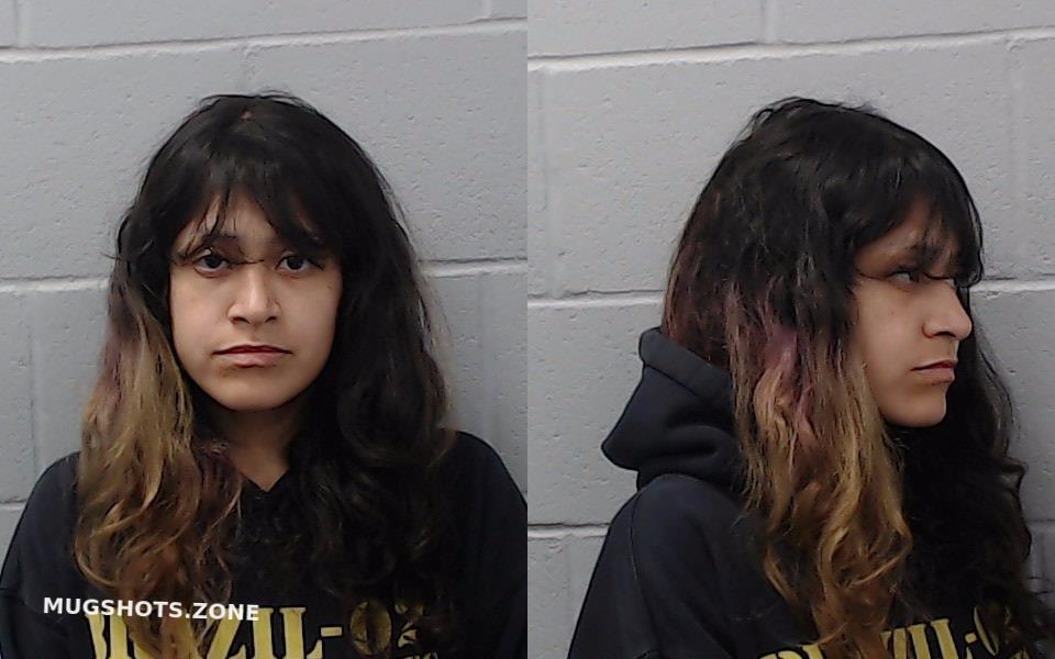 GONZALEZ BREANNA RENE 07/07/2024 - Hays County Mugshots Zone