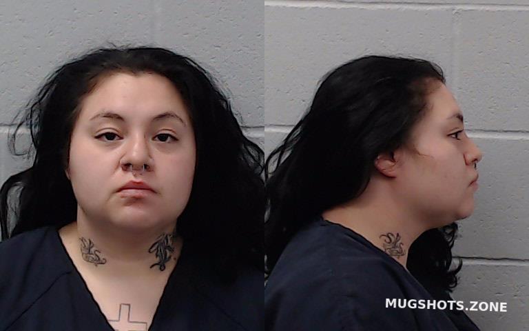 SEARS SAVANNAH LYNN 11/16/2024 - Hays County Mugshots Zone