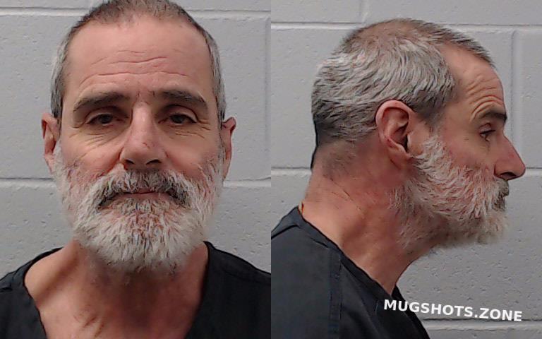 HANDLEY ELLIE HUGH II 11/20/2024 - Hays County Mugshots Zone