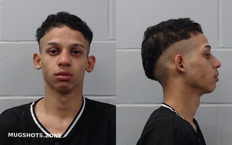 CRUZ-GAMEZ DERLIN NOE 11/27/2024 - Hays County Mugshots Zone