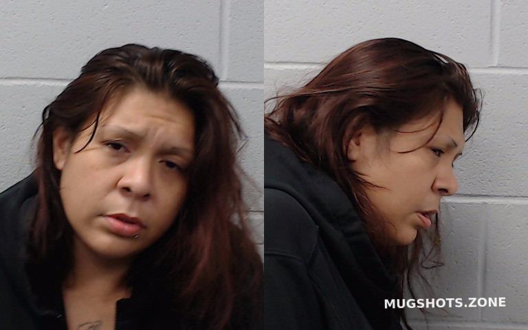 CASTRO JENNIFER LEE 12/16/2024 - Hays County Mugshots Zone