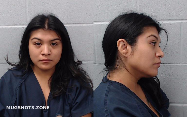 REYES BEATRIZ ELENA 12/21/2024 - Hays County Mugshots Zone