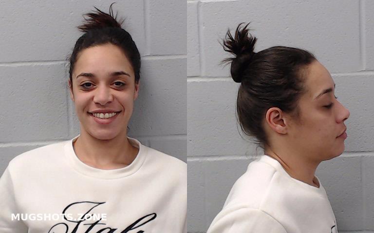 WILLIAMS JESSICA RENE 02/01/2025 - Hays County Mugshots Zone