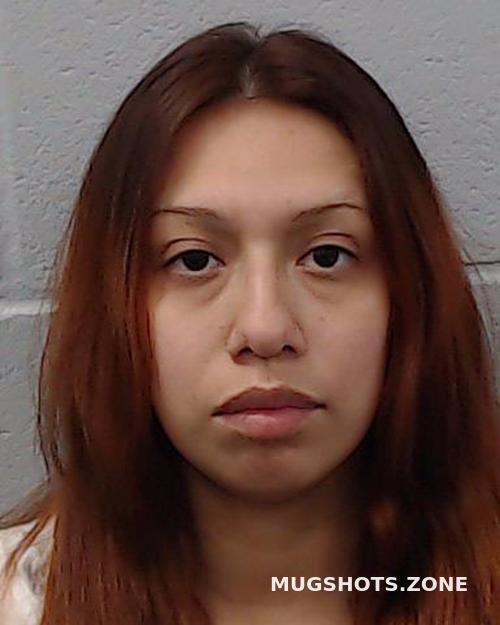 ALEXANDER MONSEGUE BAT-ELI 02/07/2025 - Hays County Mugshots Zone