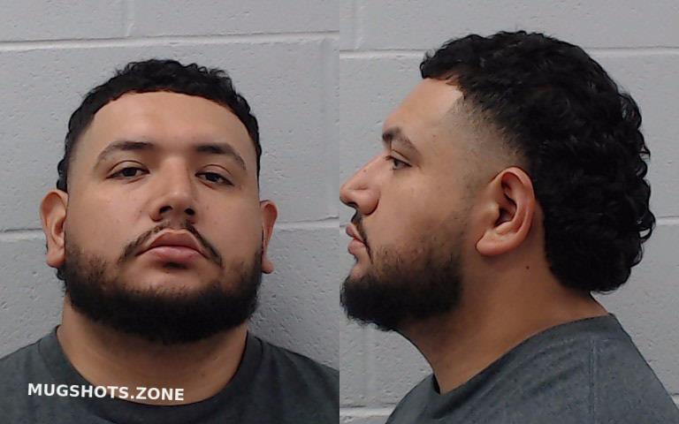 ZENDEJAS CESAR BRIAN 03/31/2025 - Hays County Mugshots Zone