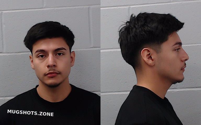 CASTILLO ERIK DANIEL 03/31/2025 - Hays County Mugshots Zone