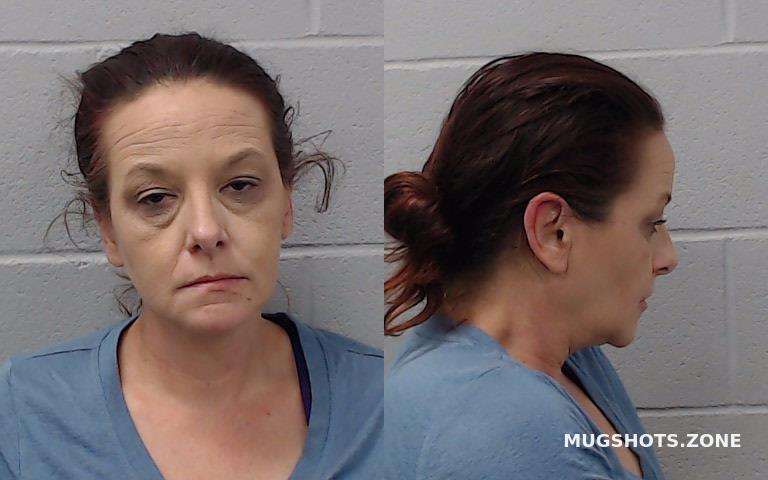 HARRIS JAMIE RENEE 04/27/2025 - Hays County Mugshots Zone