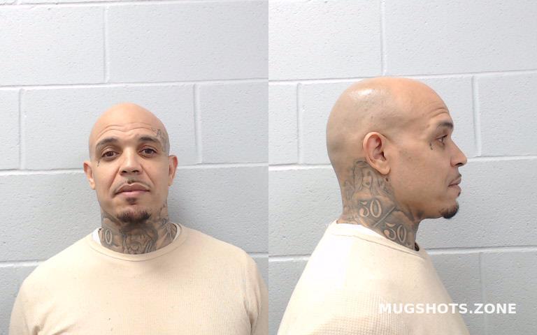 SANNEM RYAN DEAN 07/10/2025 - Hays County Mugshots Zone
