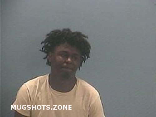 COY ANDERSON 03/23/2022 - Hempstead County Mugshots Zone
