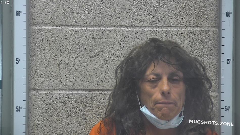 BROOKS PAULETTE 08/23/2022 - Henderson County Mugshots Zone